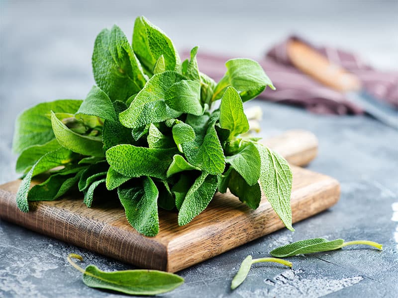 11 Best Sage Substitutes From Basil to Italian Seasoning