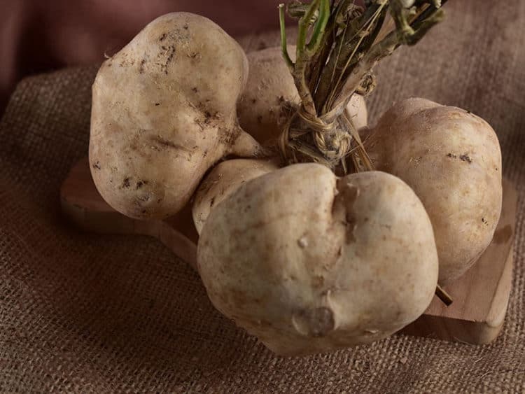 What Does Jicama Taste Like And Its Extensive Information