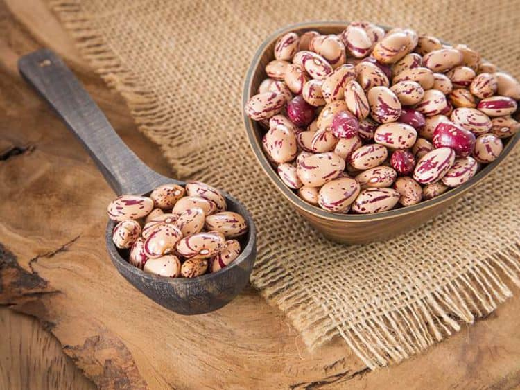 16 Pinto Beans Substitutes To Change Your Taste Buds
