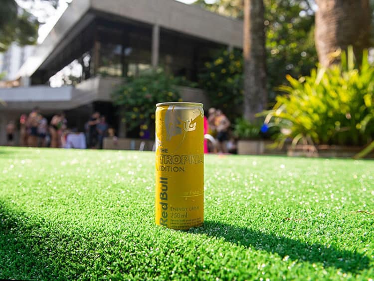 What Does Red Bull Taste Like? An Overview Explanation 2023