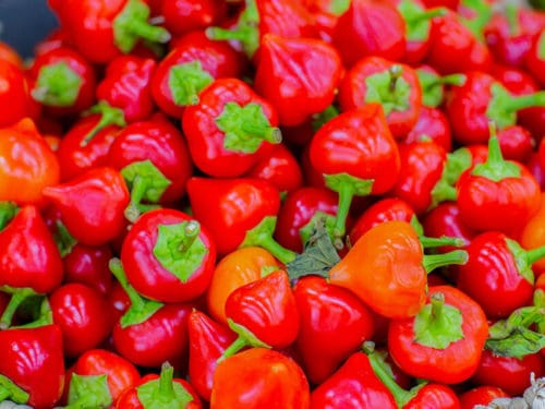 20+ Pimento Substitutes That Render Exact Taste To Your Dishes